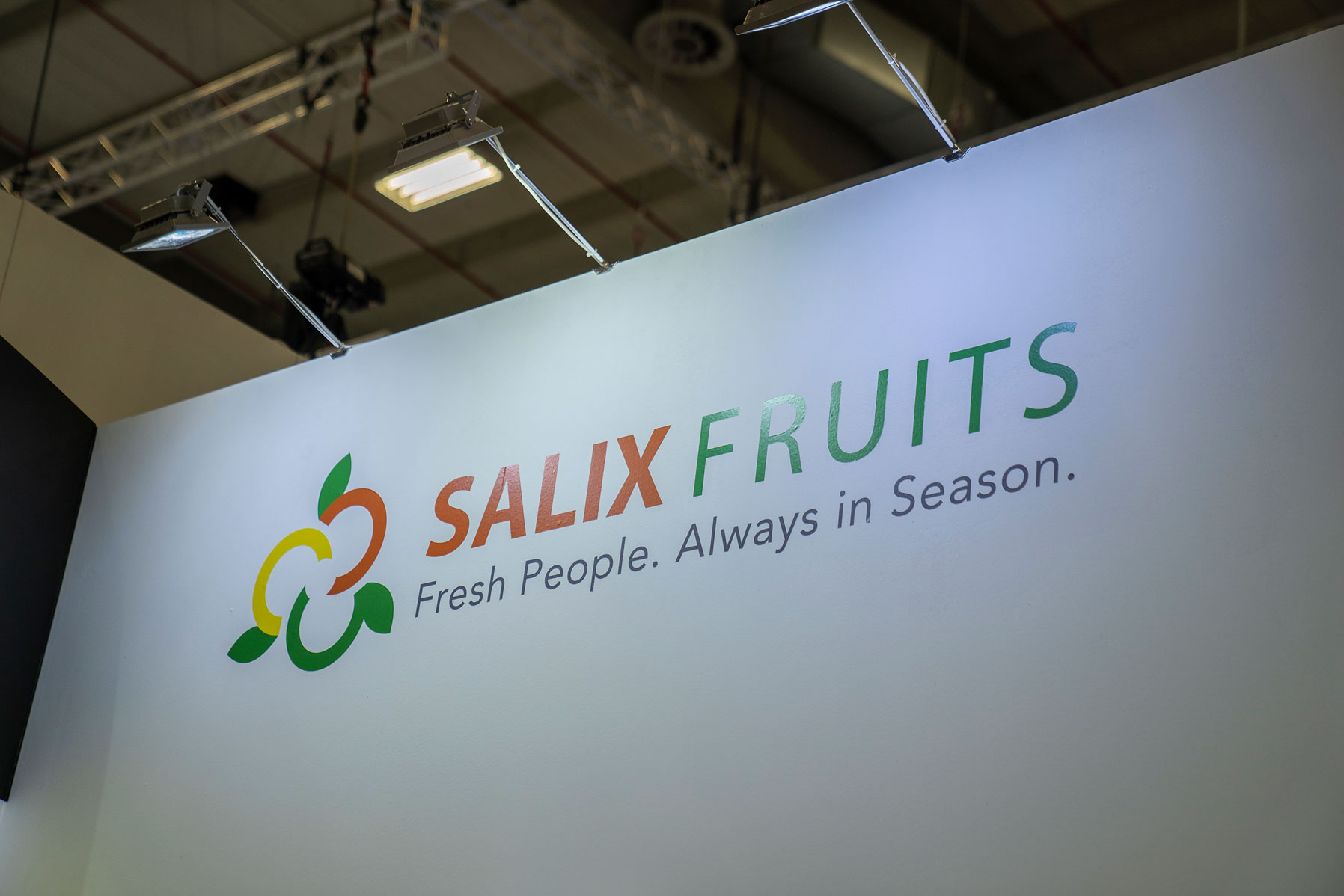 Salix Fruits - Top Quality Fruit Import and Export Company